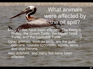Gulf Oil Spill ppt. | PPT