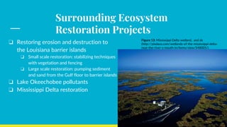 Gulf oil spill | PPTX