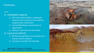 Gulf oil spill | PPTX