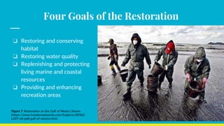 Gulf oil spill | PPTX