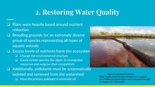 Gulf oil spill | PPTX