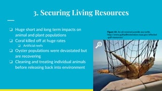 Gulf oil spill | PPTX