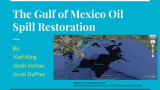 Gulf oil spill | PPT