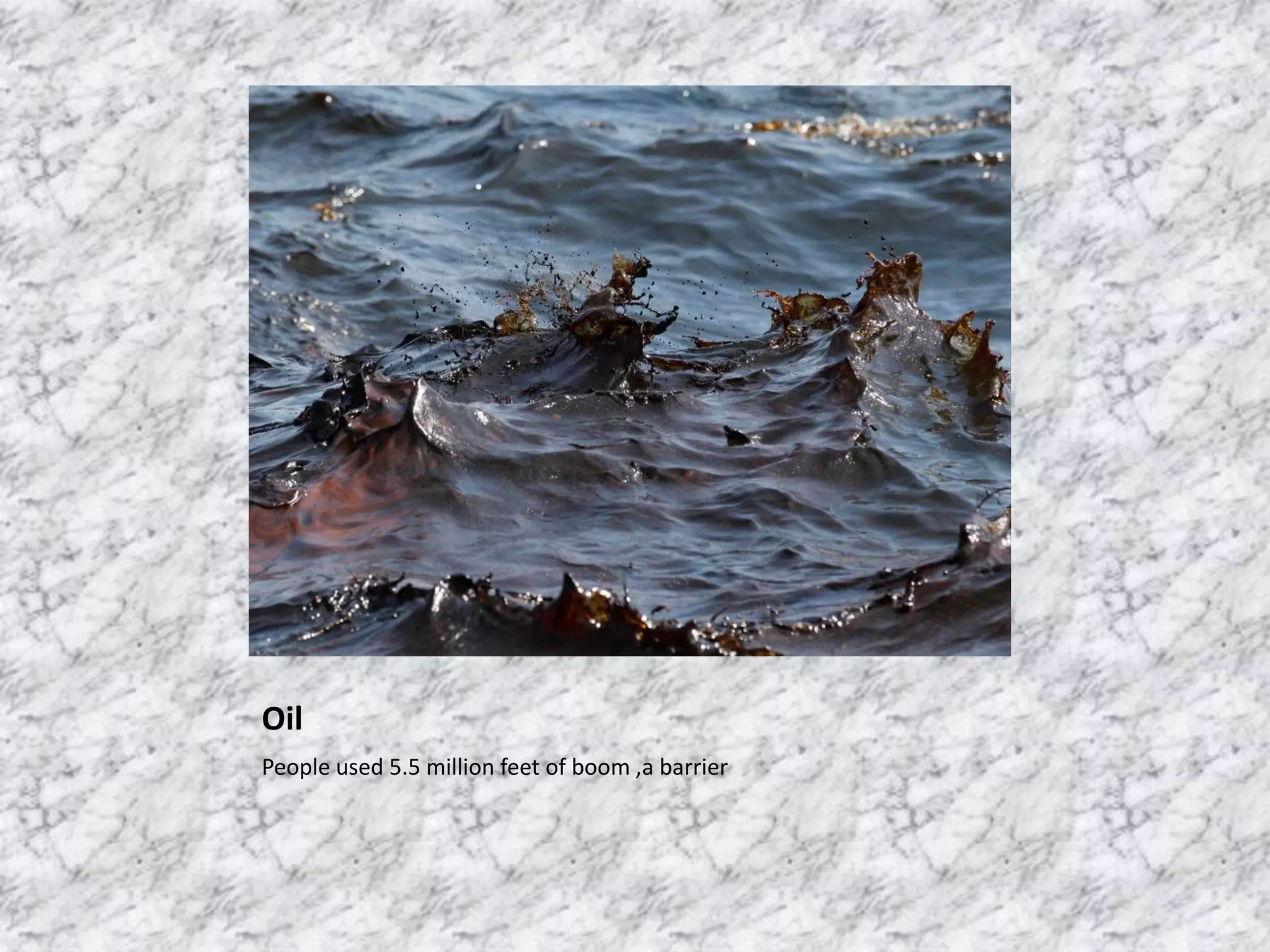 Gulf Oil Spill 2010 by Jonathan | PPTX