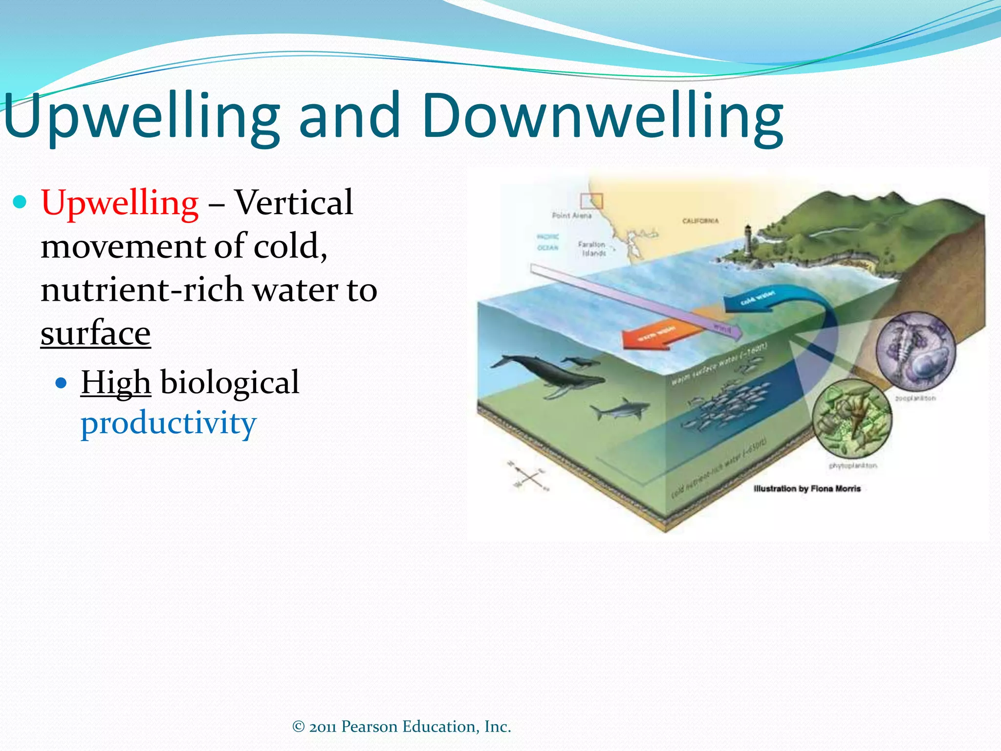 Gulf Stream, ENSO, Climate, and up and downwelling | PPTX