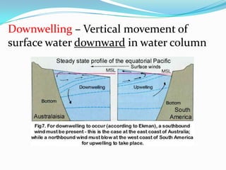 Gulf Stream, ENSO, Climate, and up and downwelling | PPTX