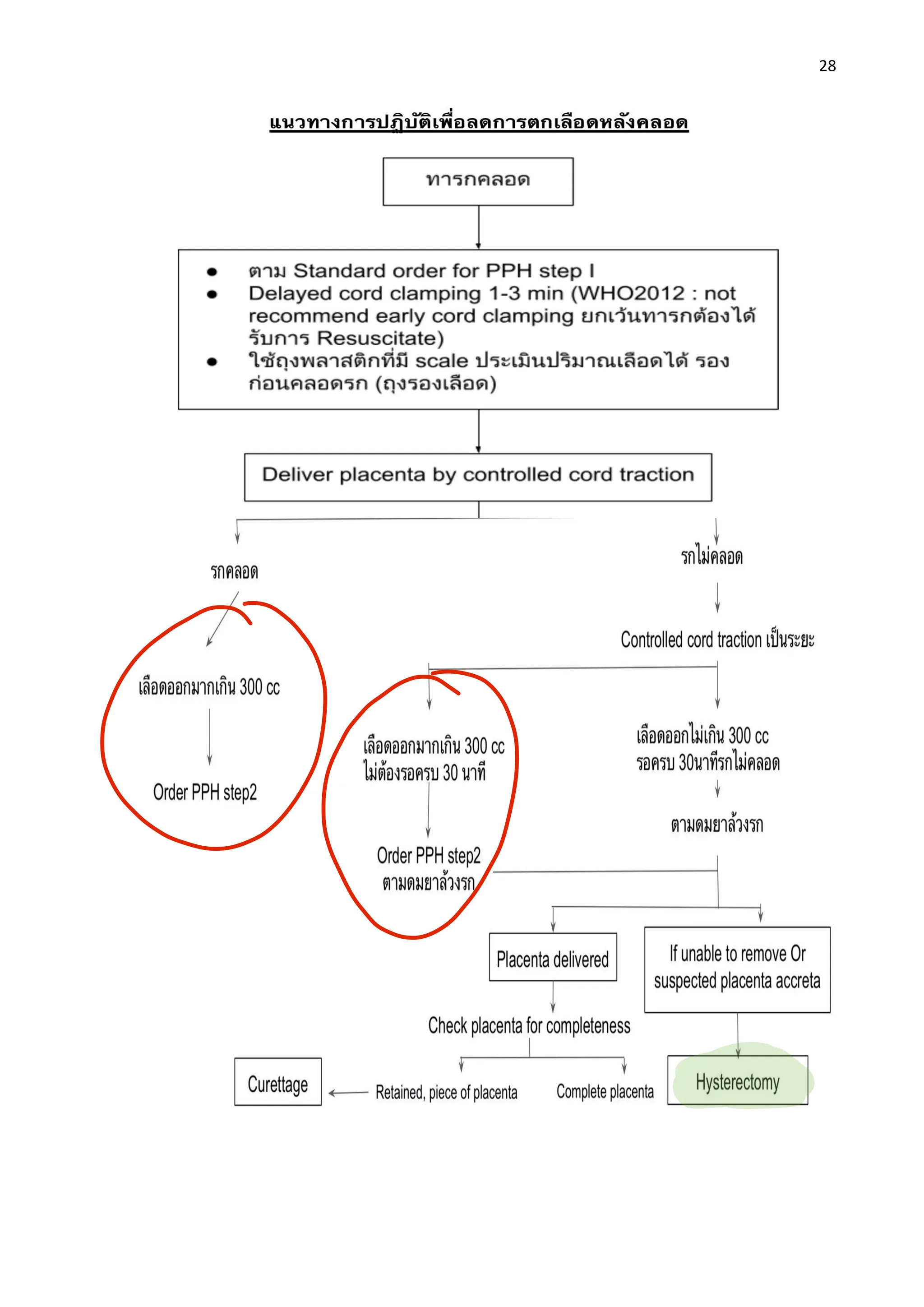 Gulidline patient obestetic รพ.พุทธโสธร | PDF