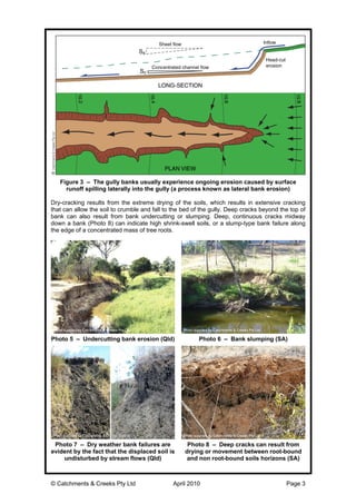 Gully1-1.pdf | Environment | Science
