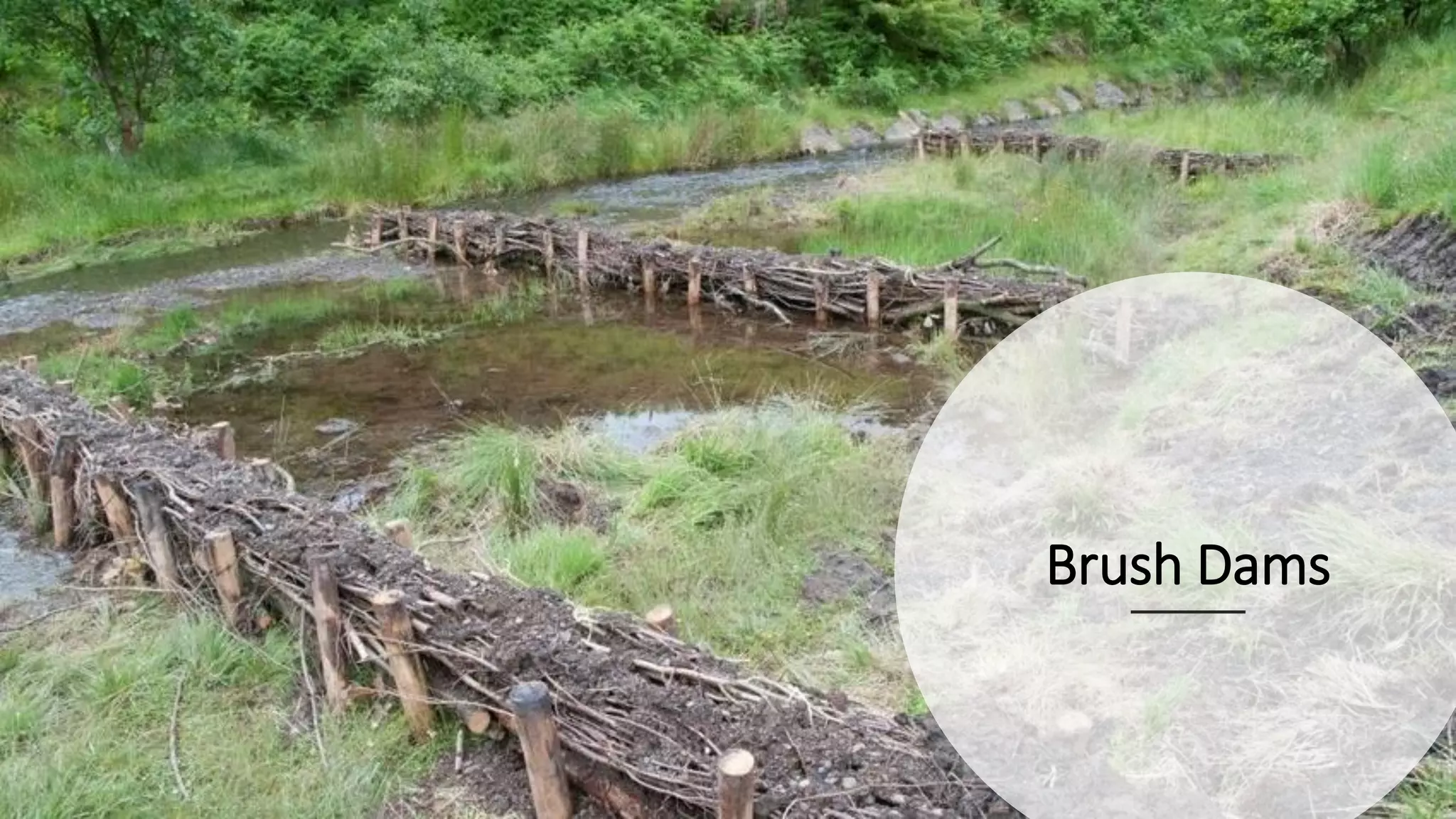 Gully classification and its contol measures | PDF
