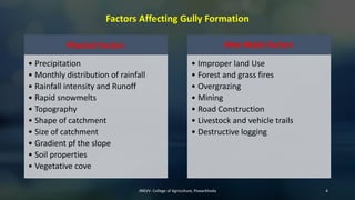 Gully classification and its contol measures | PDF