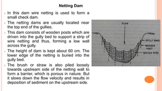 Gully Control Structures.pptx
