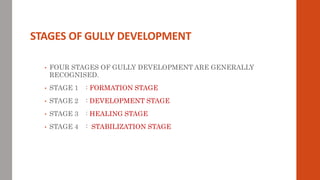 Gully erosion | PPTX