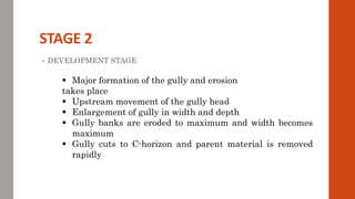 Gully erosion | PPTX
