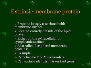 Plasma/Cell Membrane | PPTX