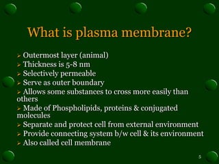 Plasma/Cell Membrane | PPTX