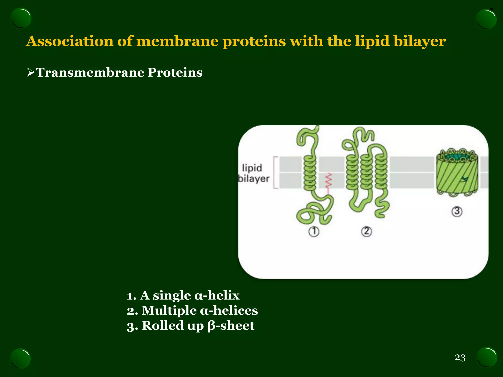 plasma membrane and its receptors in full detail biochemistry | PPT