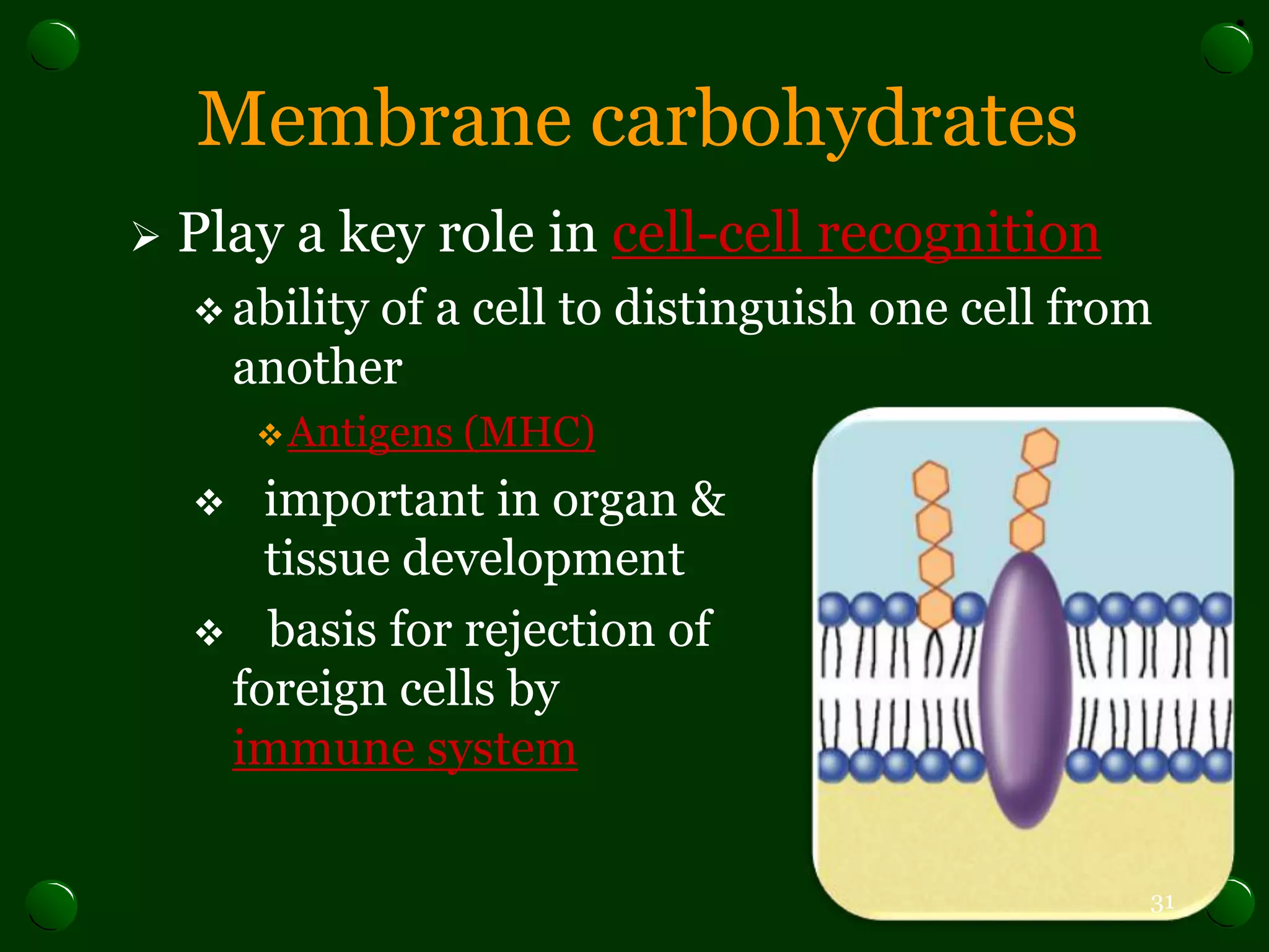 plasma membrane and its receptors in full detail biochemistry | PPT
