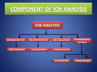 SYNOPSIS PRESENTATION ON JOB ANALYSIS & JOB DESIGN | PPTX | Human ...
