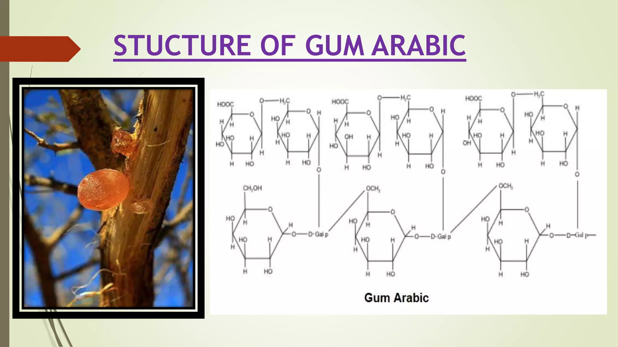 Plant Gum by rushikesh kale | PPTX