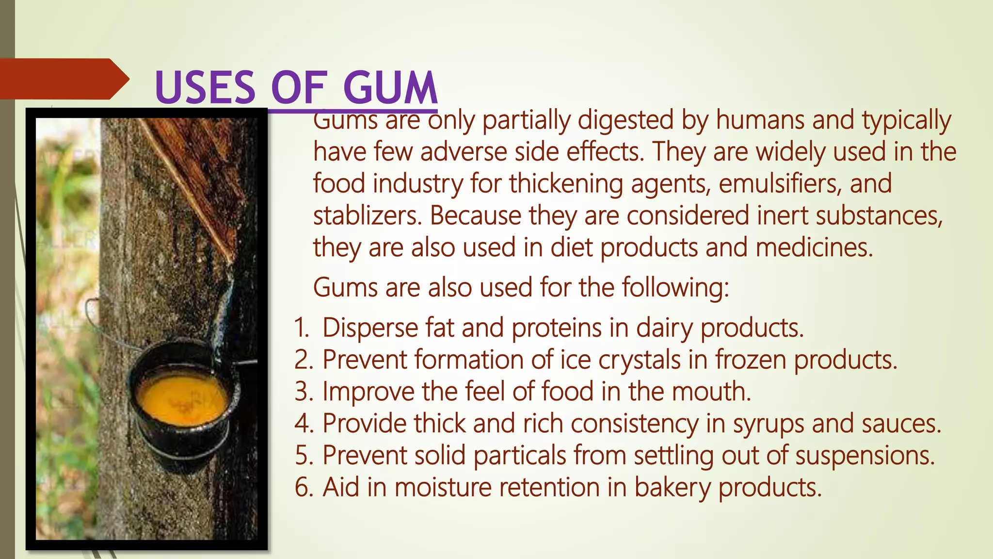 Plant Gum by rushikesh kale | PPTX