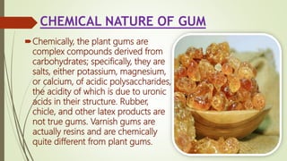 Plant Gum by rushikesh kale | PPTX
