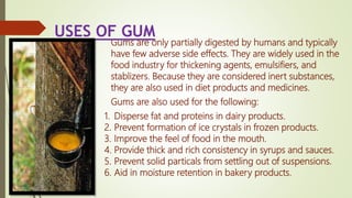 Plant Gum by rushikesh kale | PPTX