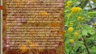 Plant Gum by rushikesh kale | PPTX