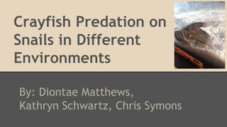 Crayfish Predation on Snails in Different Environments | PPTX