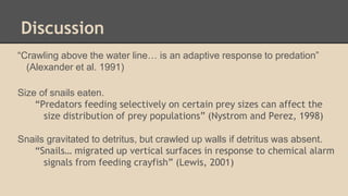 Crayfish Predation on Snails in Different Environments | PPTX