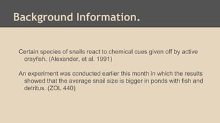 Crayfish Predation on Snails in Different Environments | PPTX