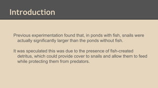 Crayfish Predation on Snails in Different Environments | PPTX