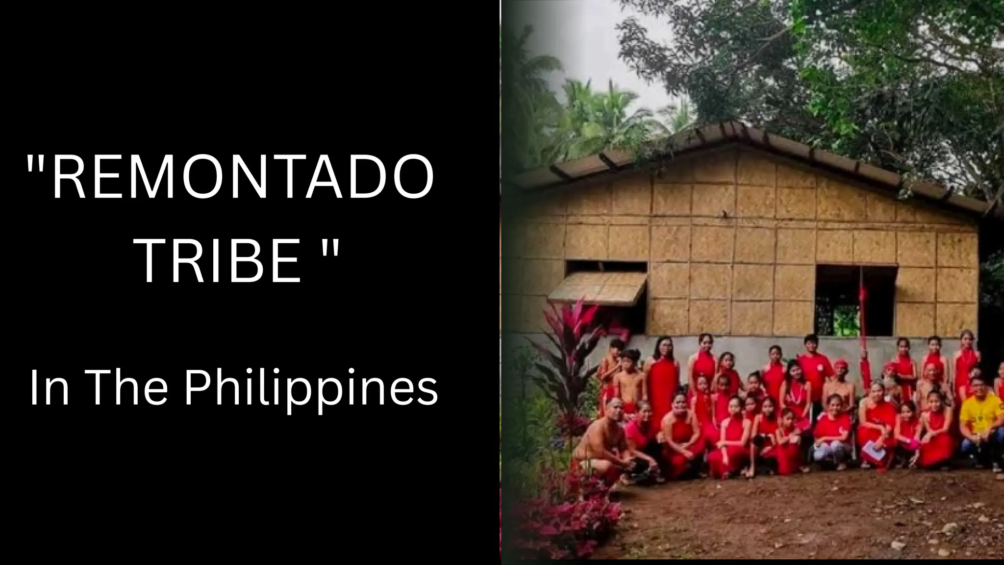 REMONTADO TRIBE - A summarize report for the Remontado Tribe | PDF