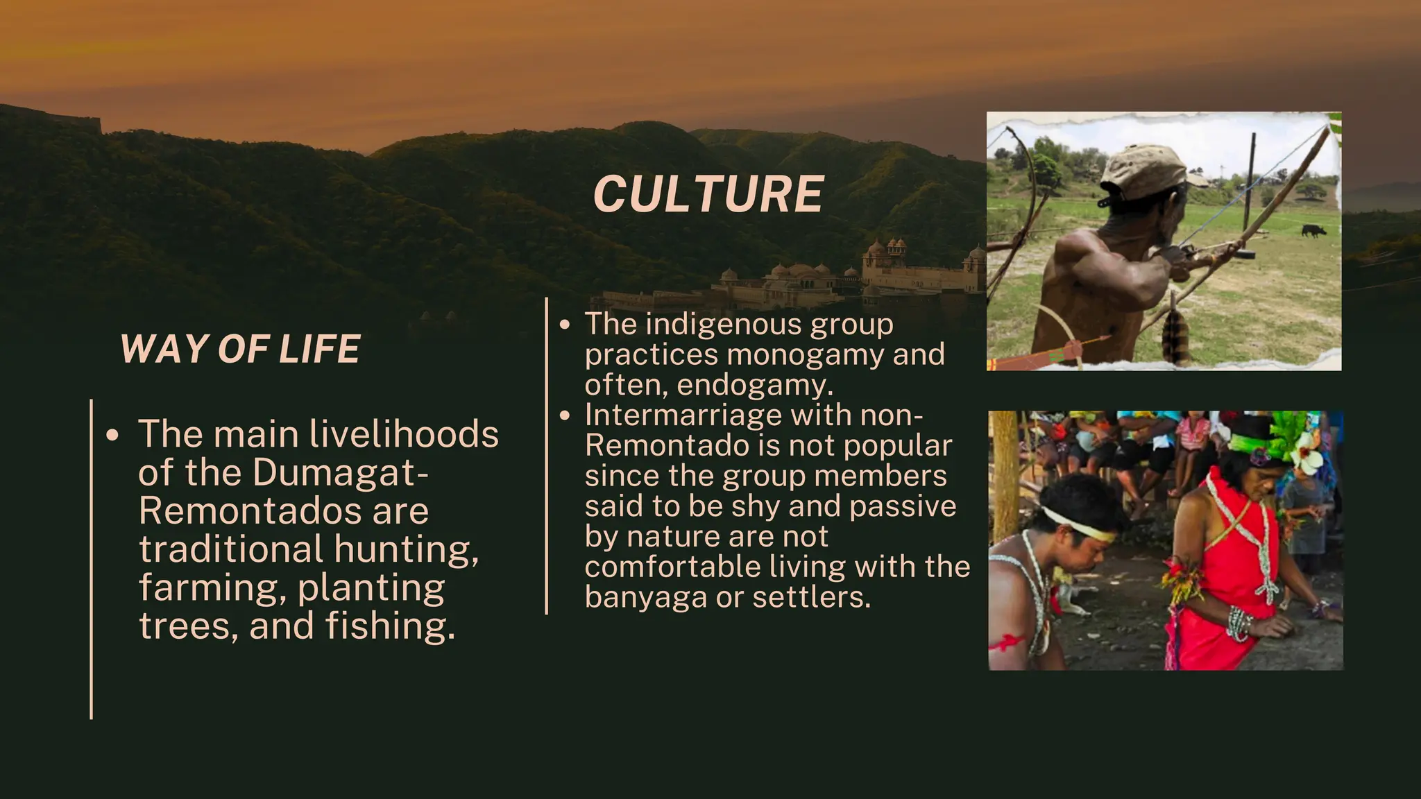 REMONTADO TRIBE - A summarize report for the Remontado Tribe | PDF