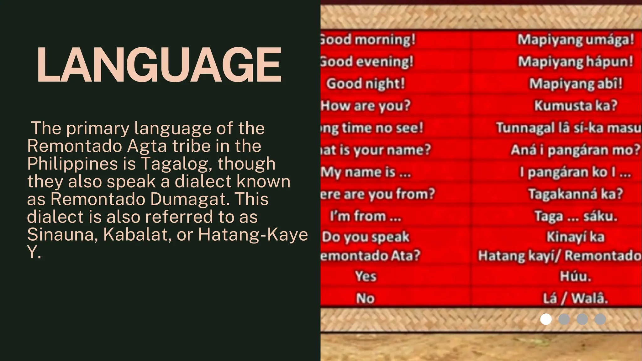 REMONTADO TRIBE - A summarize report for the Remontado Tribe | PDF