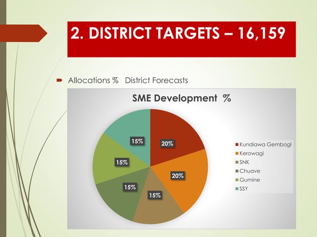 Gumine District SME Development Program DIGINE.pdf