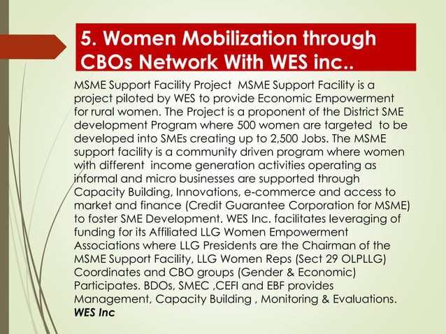 Gumine District SME Development Program DIGINE.pdf