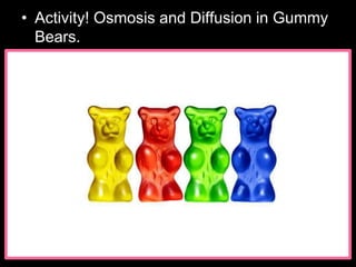 Osmosis Gummy Bear Lesson PowerPoint, Cell Biology, Cell Transport | PPTX