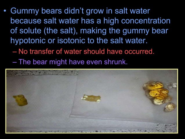 Osmosis Gummy Bear Lesson PowerPoint, Cell Biology, Cell Transport | PPTX