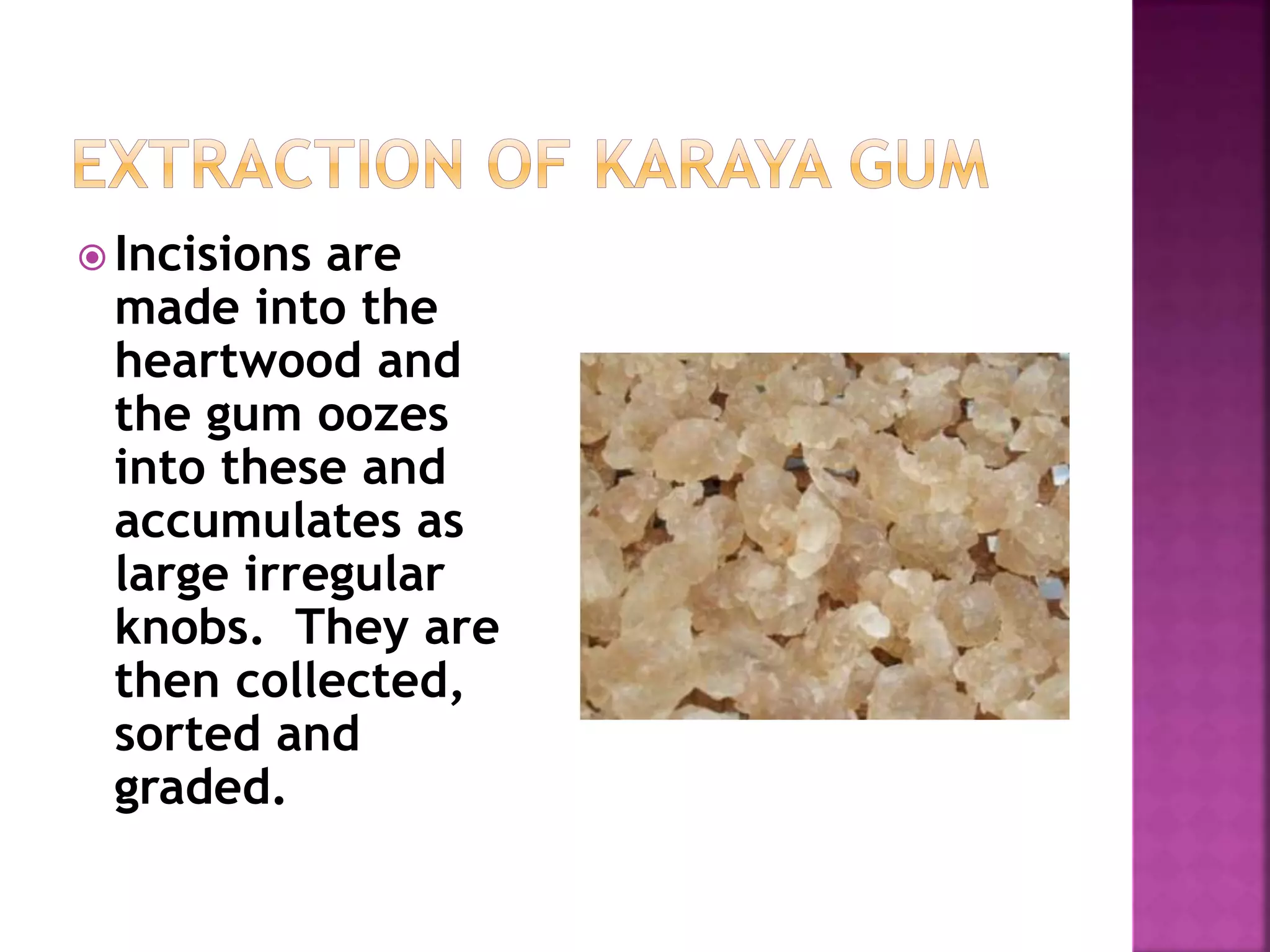 Gum resins in plants | PPTX