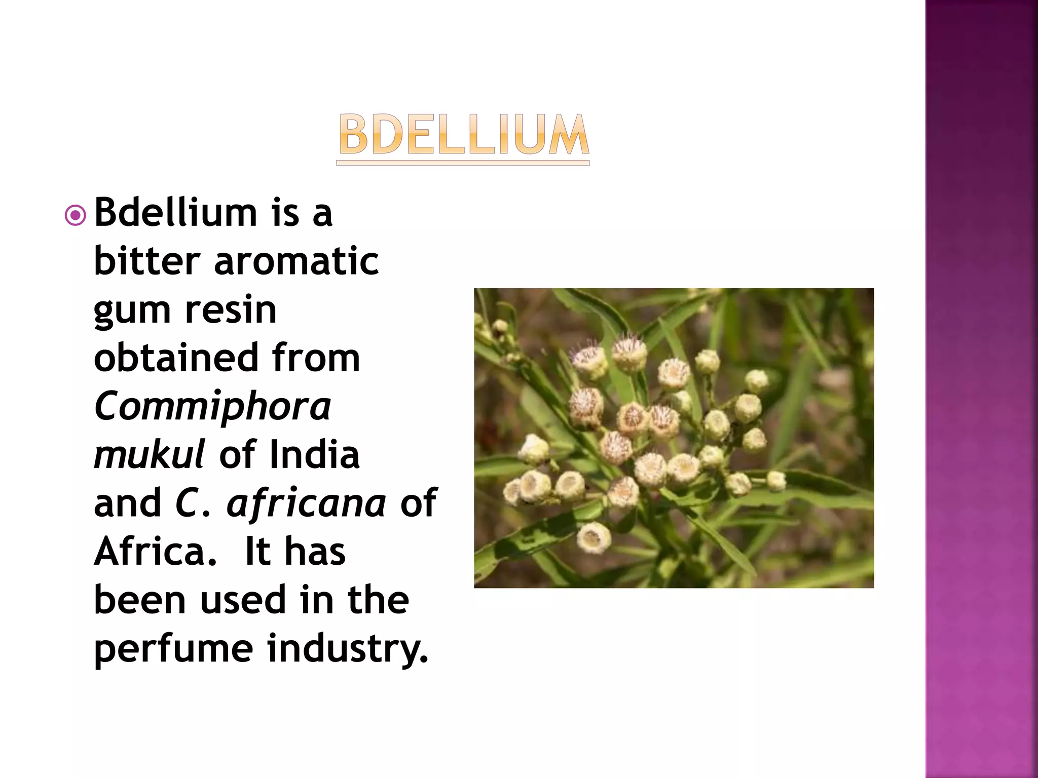 Gum resins in plants | PPTX