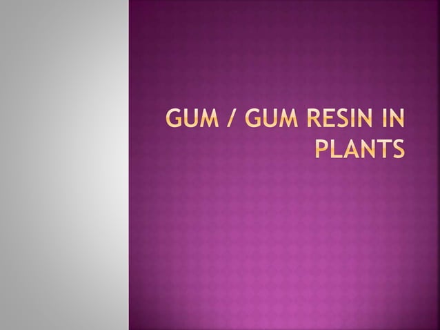 Gum resins in plants | PPTX
