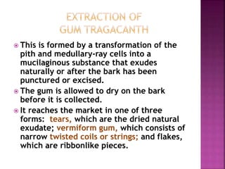 Gum resins in plants | PPTX