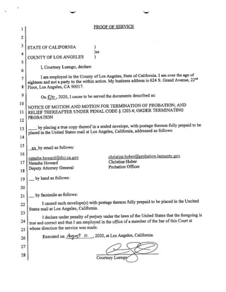 Gumrukcu - Motion for Termination of Probation AUG 2020 | PDF