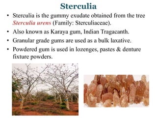 Gums and Mucilages, their pharmaceutical applications.pptx