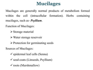 Gums and Mucilages, their pharmaceutical applications.pptx