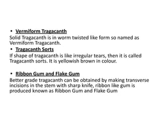 GUMS AND MUCILAGES.pdf Detailed description on the types of gums and ...