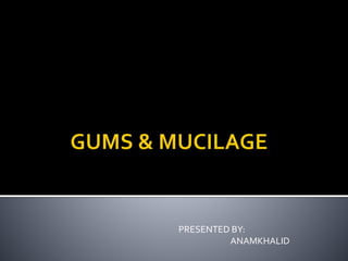 Gums & mucilage pharmacognosy | PPTX