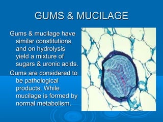 GUMS & MUCILAGE | PPT