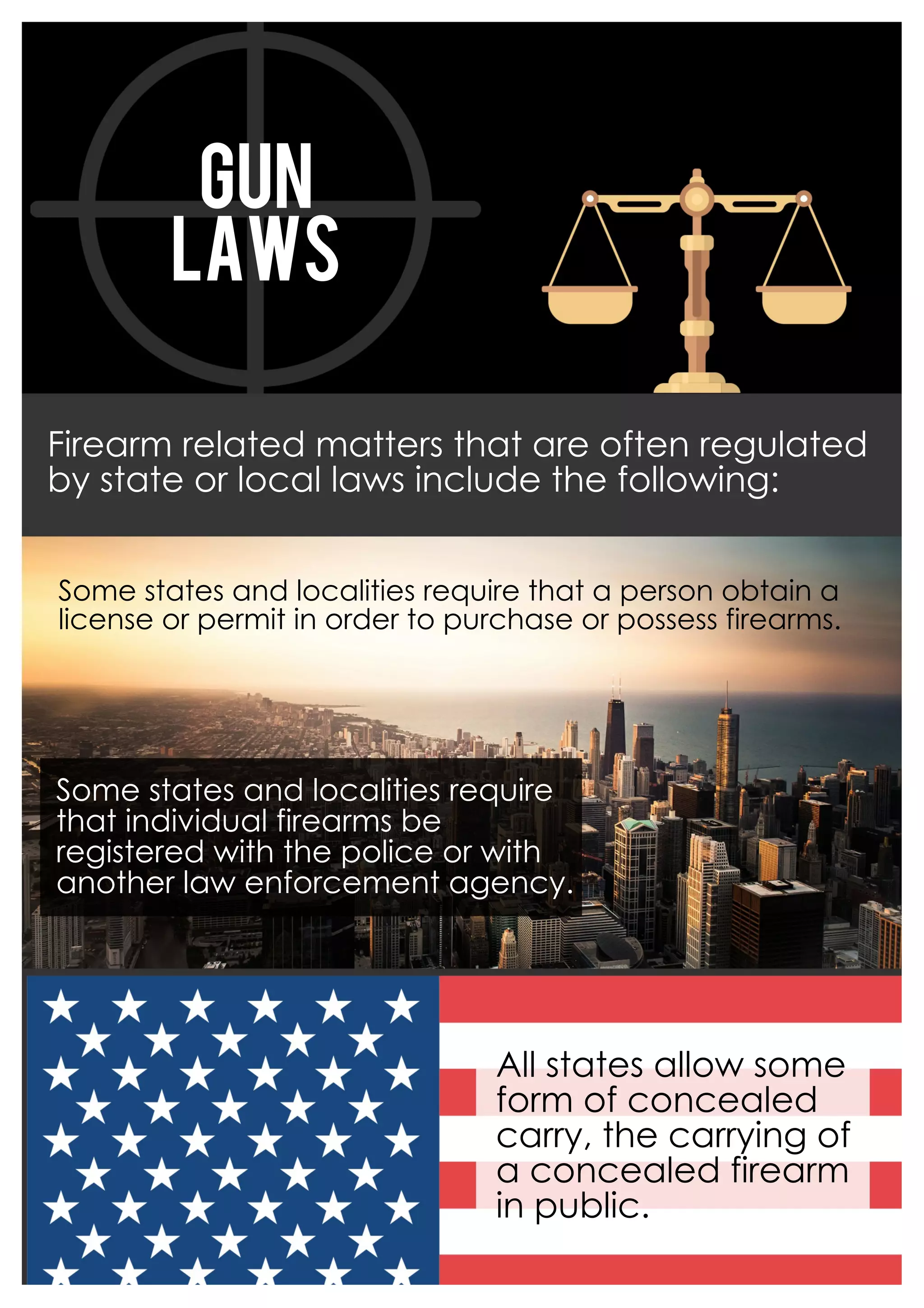 Gun Transfer Laws | PDF