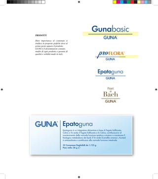 GUNA Logo Design, Brand Manual and Guidelines (Preview) | PDF